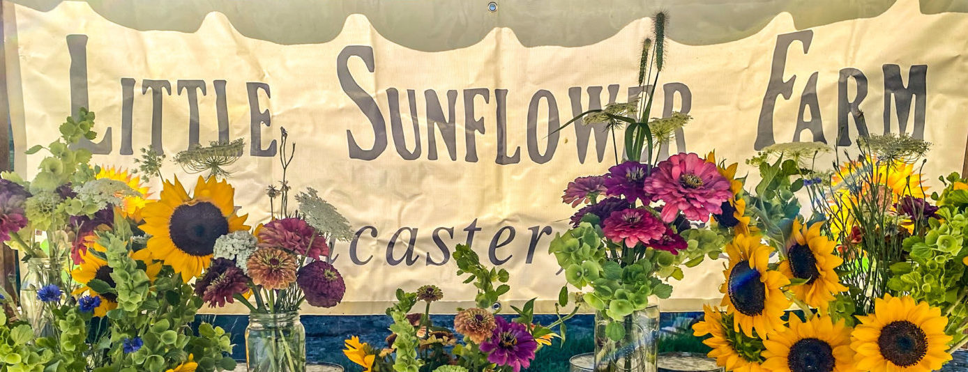 About Us – Little Sunflower Farm